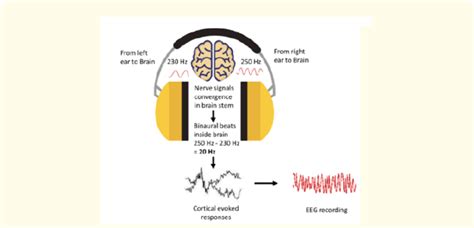 Formation Of Binaural Beats Download Scientific Diagram