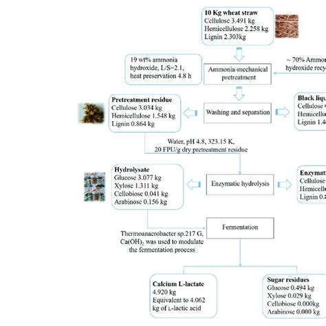 Mass Balance Of Ammonia Mechanical Pretreatment Enzymatic Hydrolysis
