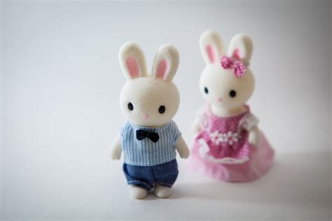 이성 이미지 찾아보기 131 스톡 사진 벡터 및 비디오 Adobe Stock