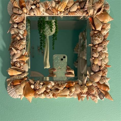 seashell mirror etsy