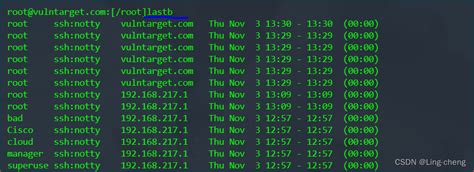 Linux系统信息收集linux信息搜集 Csdn博客