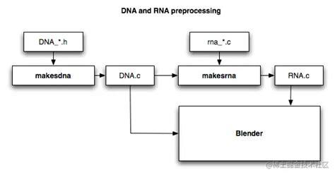 Blender 中的 Dna Rna 结构及其极致的向后兼容性持续创作，加速成长！这是我参与「掘金日新计划 · 10 月 掘金