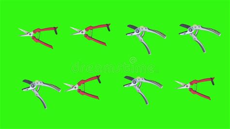 Animation Of Scissors Gardening Tools Chroma Key Stock Footage