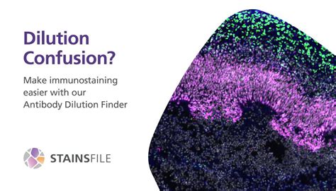 Stainsfile On Linkedin Want To Figure Out Your Antibodies Dilution