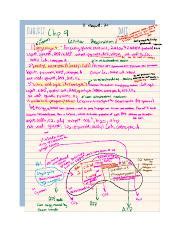 Understanding Cellular Respiration: Key Processes and ATP | Course Hero