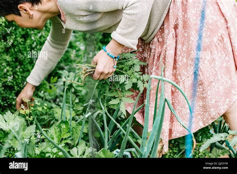 Side View Of Middle Aged Female Farmer With Short Dark Hair In Casual