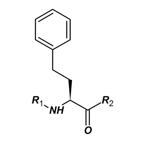 Unnatural Amino Acids Unusual Amino Acids Qyaobio