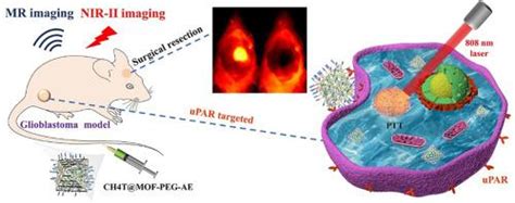 Upar Targeted Phototheranostic Metal Organic Framework Nanoprobes For Mrnir Ii Imaging Guided