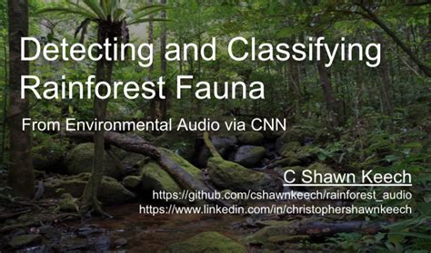 GitHub Cshawnkeech Rainforest Audio Rainforest Species Detection From Audio