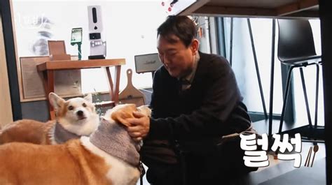 토리 아빠 윤석열 강아지들 아니면 10년 세월 잘 버텼겠나 나무뉴스