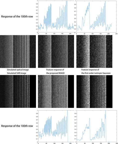 The Maximum Feature Response Among All Orientations Was Obtained For