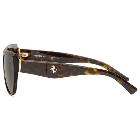 Ferrari Ferrari Sunglasses In Havana Acetate With Polarised Lenses