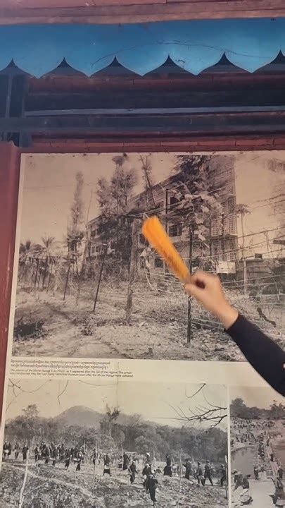 [캄보디아 투어]왓트마이 사원 킬링필드의 아픈 역사를 간직한 곳 시엠립 Youtube