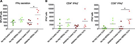 T Cell Induction And Cytokine Response After Vlp Immunization Mice