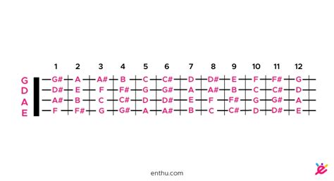 Bass Guitar Notes And Chords