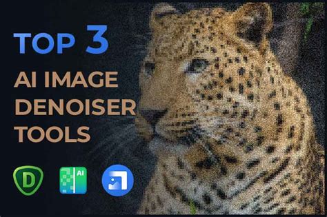 The Best Noise Reduction Software For Photographers A Comprehensive Guide Avclabs