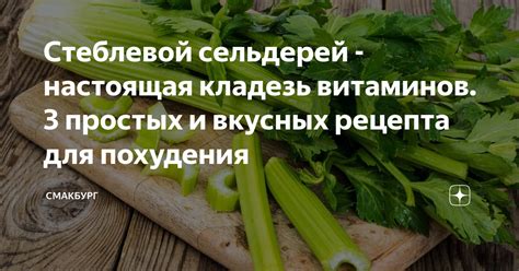 Стеблевой сельдерей - настоящая кладезь витаминов. 3 простых и вкусных ...