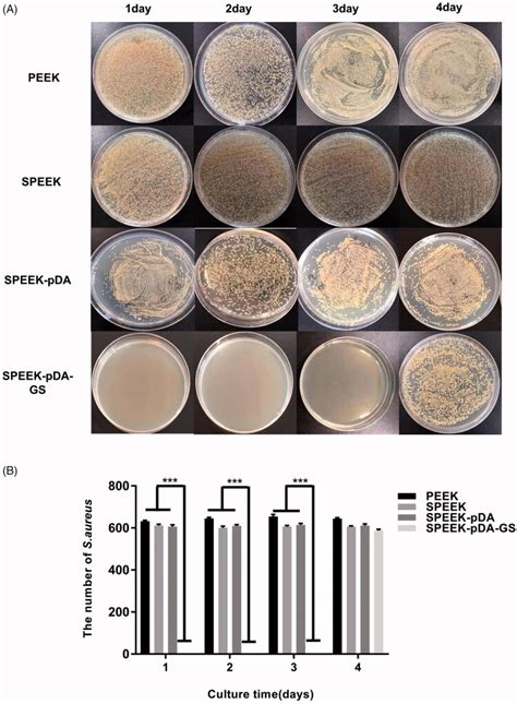 Facile Surface Functional Polyetheretherketone With Antibacterial And Immunoregulatory