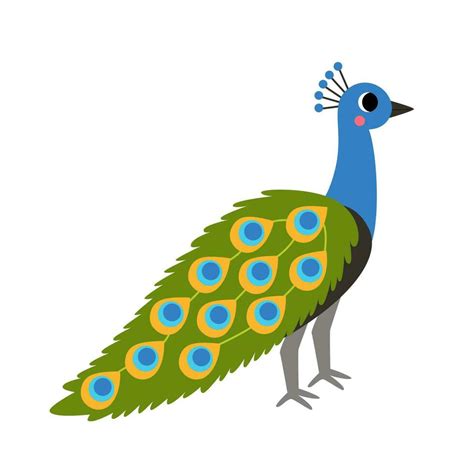 Vector Illustration Of Cute Peafowl Bird Isolated On White Background