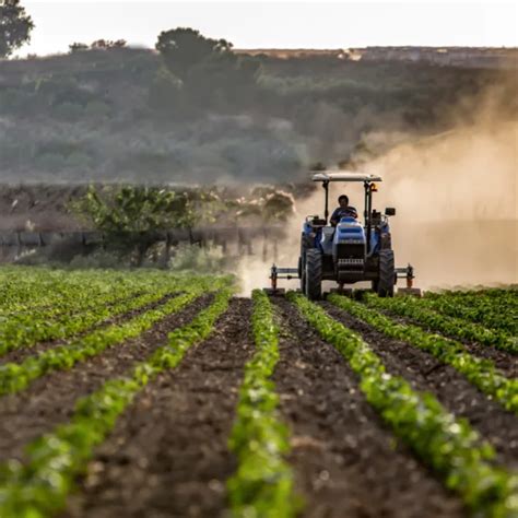 El Gobierno Anunció Medidas Para Favorecer Al Sector Agropecuario Y