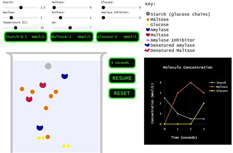Enzyme Simulation Enzyme Simulation