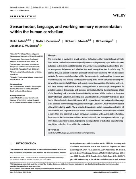 pdf sensorimotor language and working memory representation within
