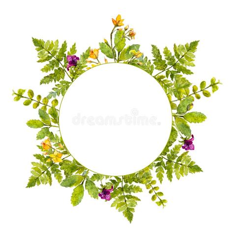 盘旋框架与被绘的水彩绿色植物和野花 自然启发了自然化妆用品的边界，春天 库存例证 插画 包括有 庭院 例证 87844200