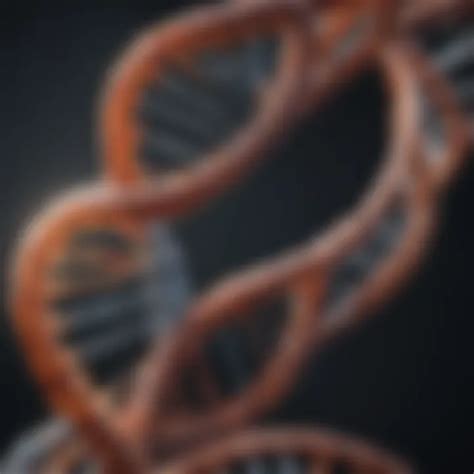 The Intricacies Of Dna Replication Explained