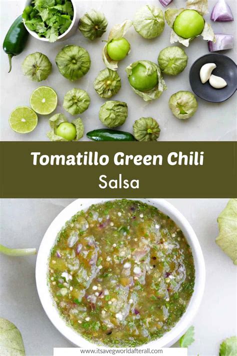 Tomatillo Green Chili Salsa Salsa Verde Its A Veg World After All®