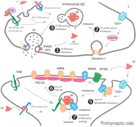 The Cell Clinical Tree