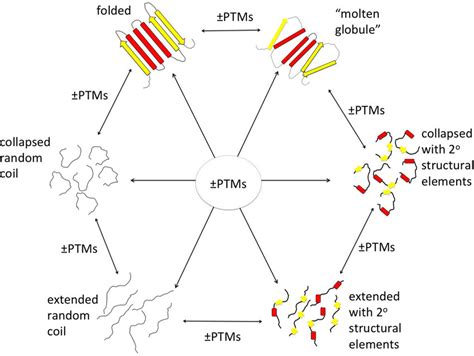 Post Translational Modifications Of Idps Can Induce Diverse Structural