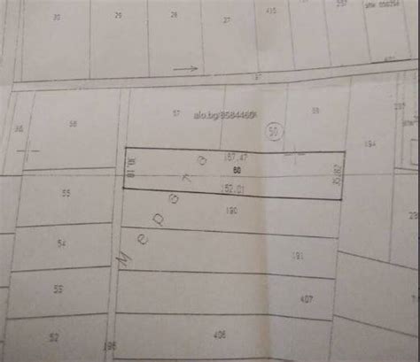Земеделска земя с Браниполе Земеделска земя 5411 кв м четвърта