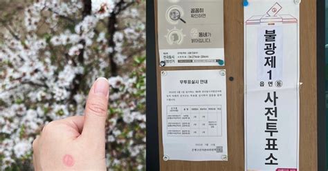 손등에 빨간 도장사전투표 인증샷 속속
