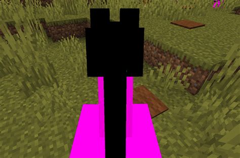 Texture Bug Version 1 21 3 Java Edition Support Support Minecraft Forum Minecraft Forum