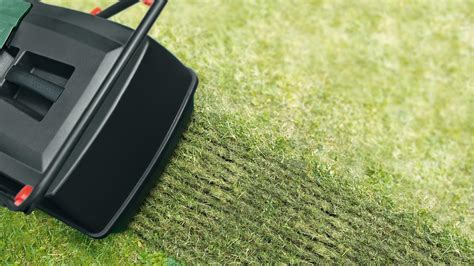 Tips And Tricks For Scarifying And Aerating Your Lawn Bosch Diy