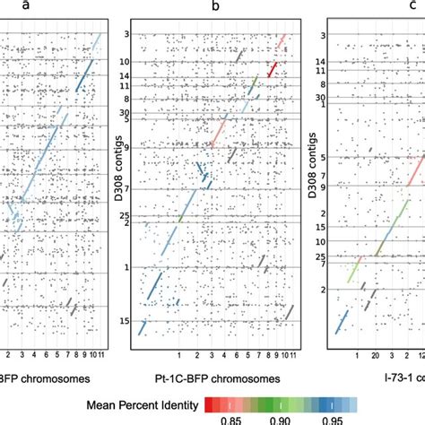 Full Genome Alignments Of Newly Sequenced Long Read Assemblies Of Download Scientific Diagram