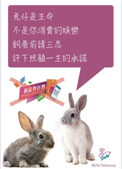 兔廬－tolobunny 請轉發 🐰兔廬提提你。善用消費券💰 領養不棄養 養兔是一輩子的承諾