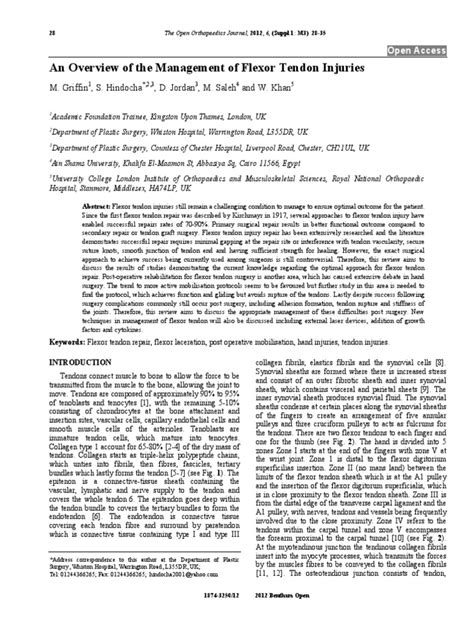 Pdf An Overview Of The Management Of Flexor Tendon Injuries Pdf