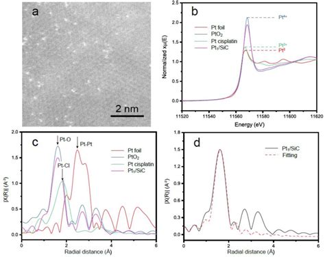 A Ac Haadf Stem Of Pt1 Sic Showing The Atomically Dispersed Pt Download Scientific Diagram