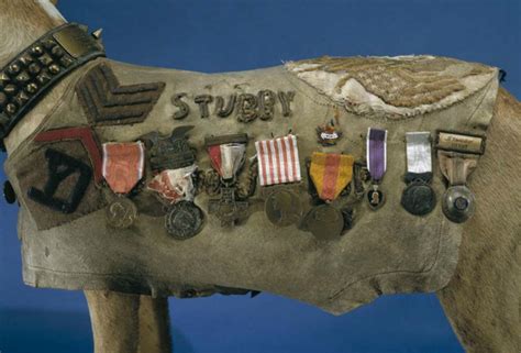 Sergeant Stubby Atlas Obscura