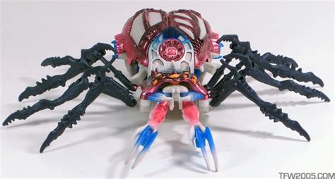 Arcee Reflector Tfw2005