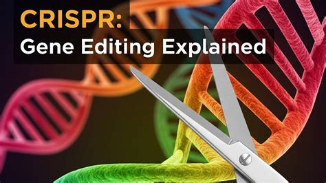 Crispr Explained Simply How Gene Editing Works Made Easy For Beginners Youtube