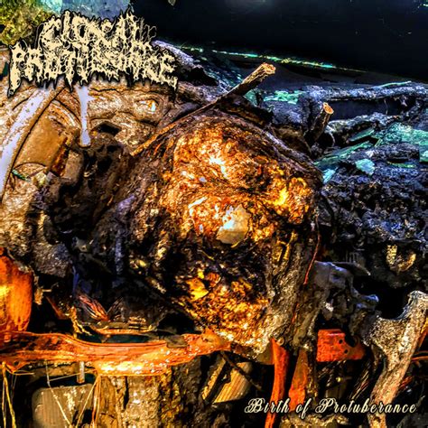 Birth Of Protuberance Cloacal Protuberance