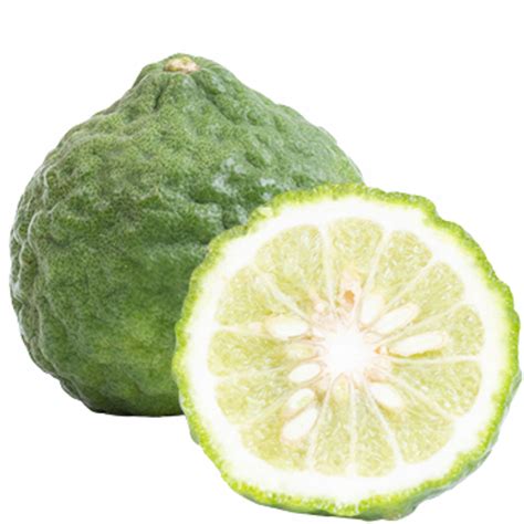 Kaffir Lime Lima Kaffir Papeda Egzotyczny Aromatyczny Cytrus 100 G