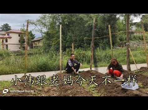 小伟今天特别开心娘在家在真的一点不假老妈就是闲不住 YouTube