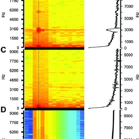 Spectrogram Using Short Time Fourier Transform A Conductance