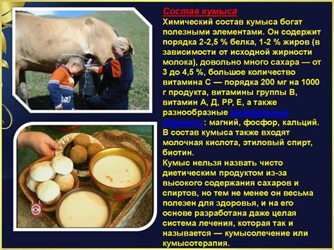 Кумыс - казахский традиционный напиток - online presentation