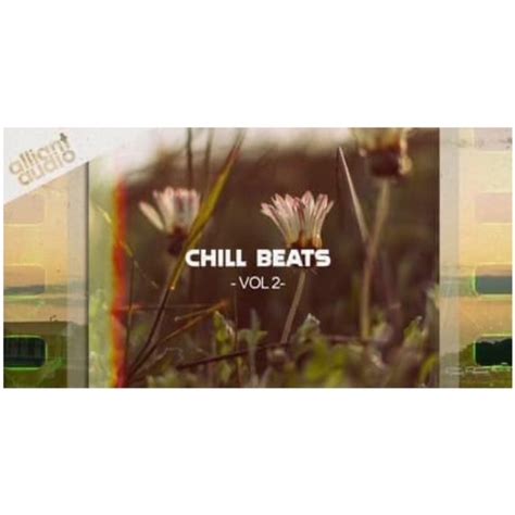 Chill Beats Vol. 2 - Recently Added To Loopmasters & Loopcloud - The ...