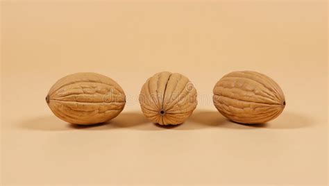 Three Walnut Shells Against A Beige Backdrop Stock Illustration