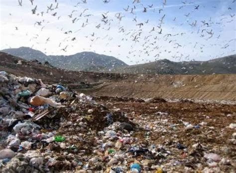 Terra Dei Fuochi Arriva Lesercito A Gestire Lemergenza Ambiente Bio